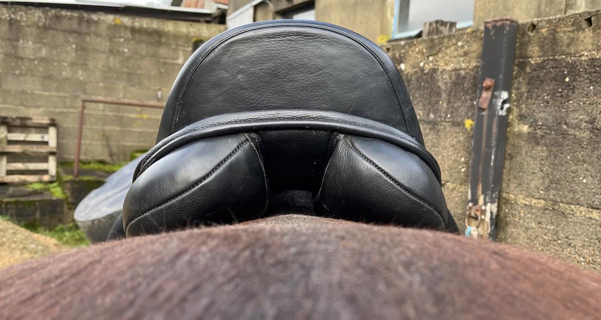 Selle de dressage Kent&Masters